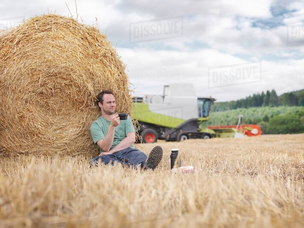 Farmer taking a break during harvesting - Stock Photo - Dissolve
