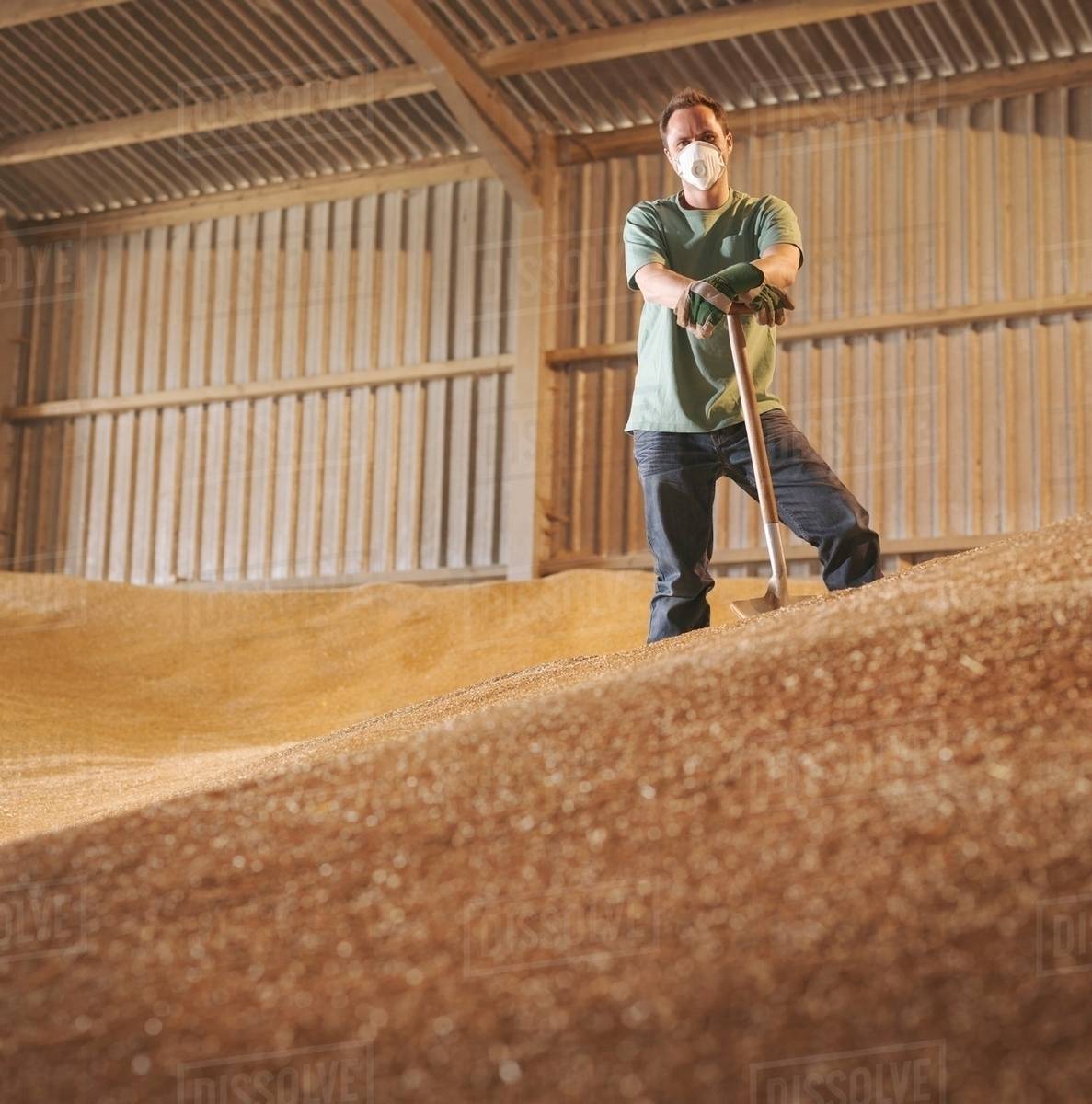 Farmer in grain store - Stock Photo - Dissolve
