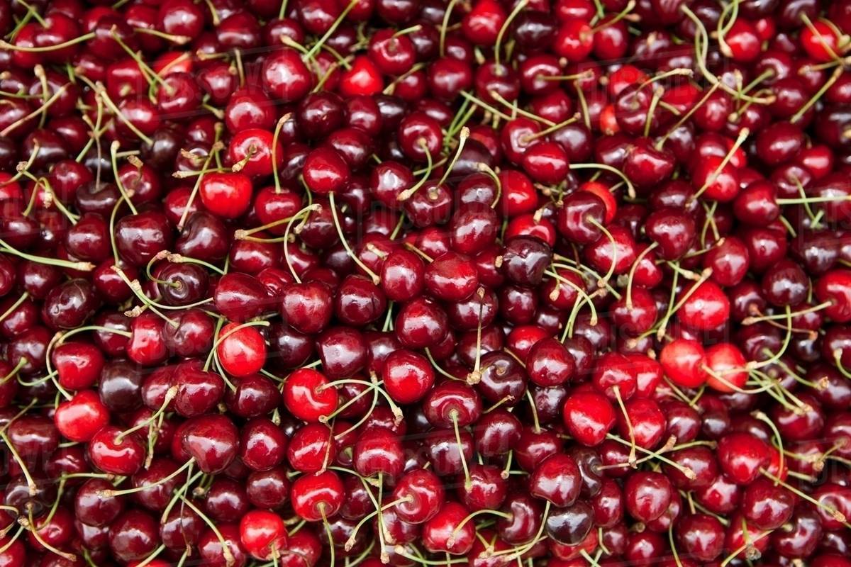 Red cherries - Royalty-free Stock Photo | Dissolve