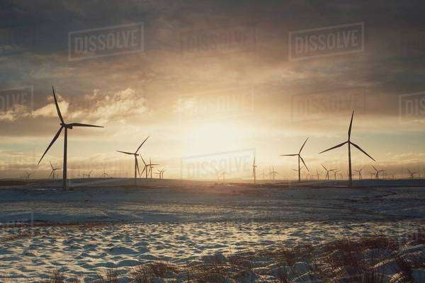 Wind turbines on sandy landscape, Ayrshire, Scotland - Royalty-free ...