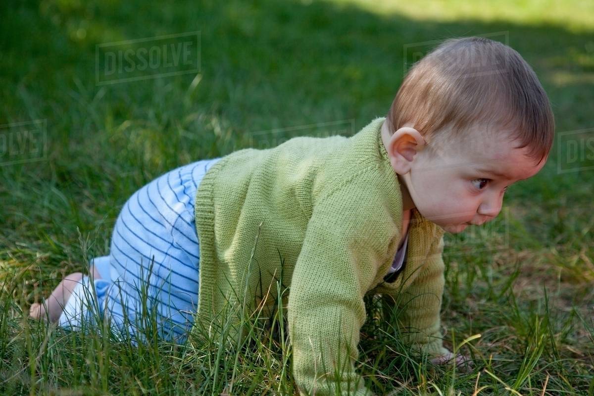 Baby boy crawling in grass - Stock Photo - Dissolve
