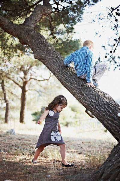 Children climbing trees outdoors - Stock Photo - Dissolve
