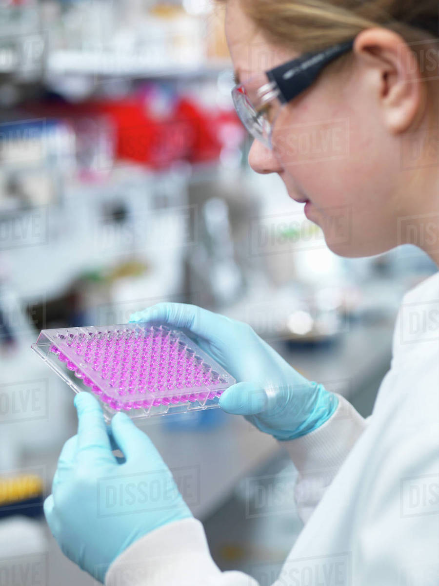 Scientist holding a multi well plate, Jenner Institute, Oxford ...