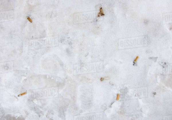 Cigarette butts in the snow - Stock Photo - Dissolve
