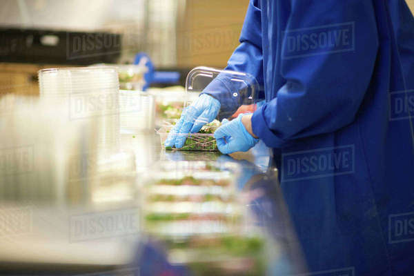 Cropped side view of worker on production line packaging vegetables ...