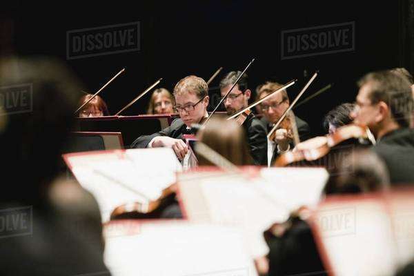 String section in orchestra - Stock Photo - Dissolve