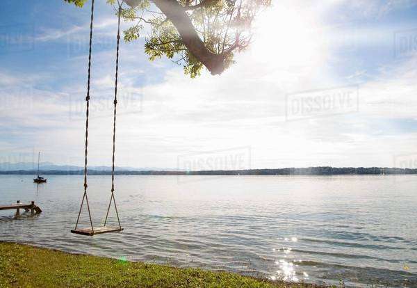 Empty tree swing by lake - Royalty-free Stock Photo | Dissolve