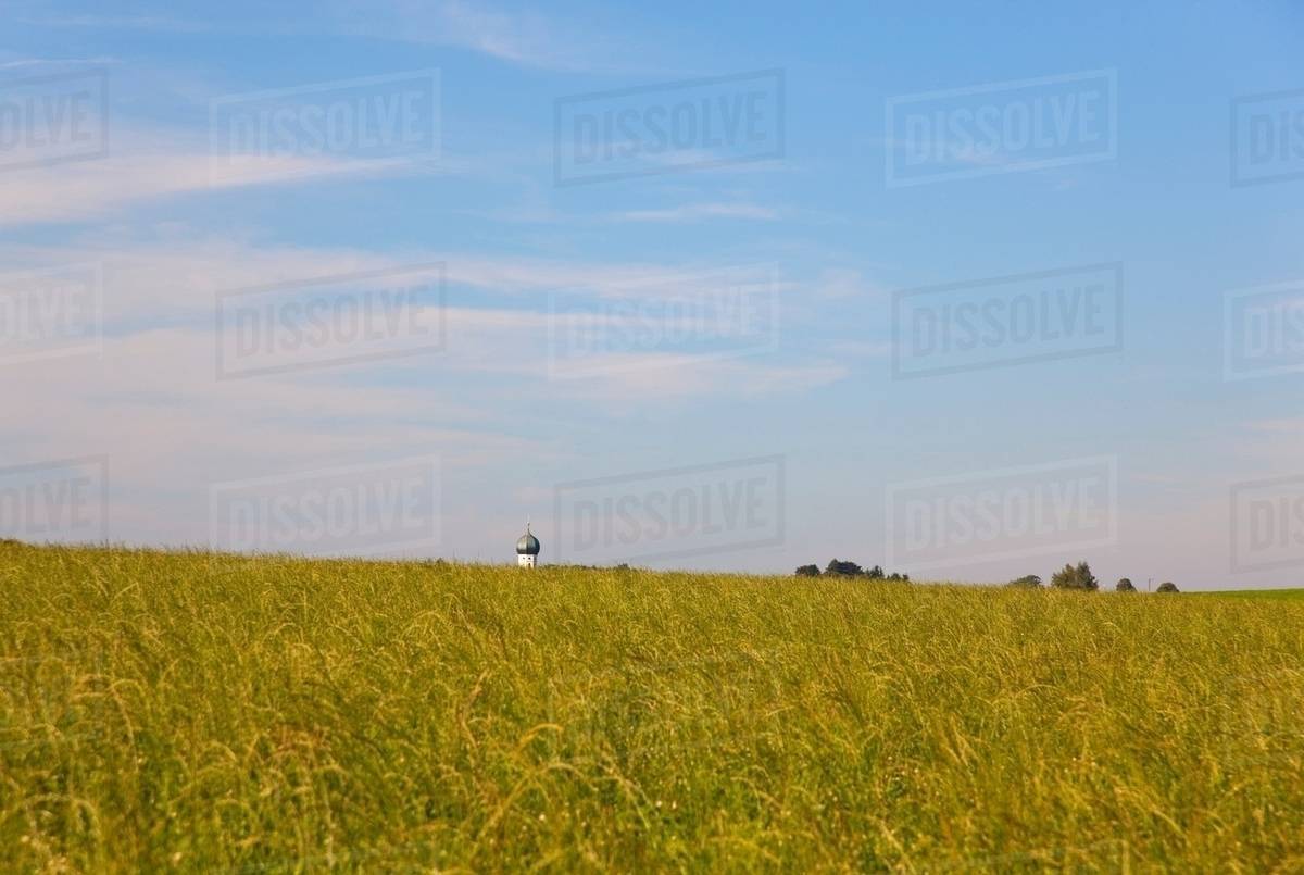 Field under blue sky - Stock Photo - Dissolve