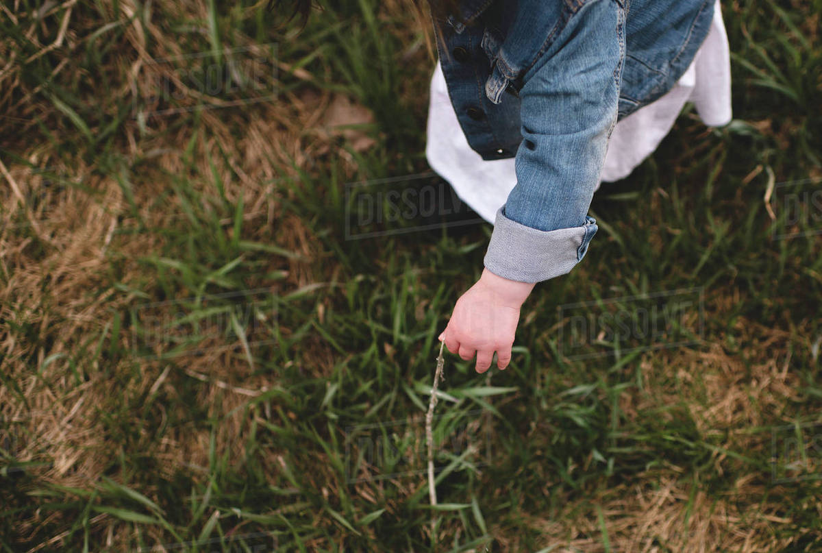 Young girl picking grass in field, elevated view - Royalty-free Stock ...