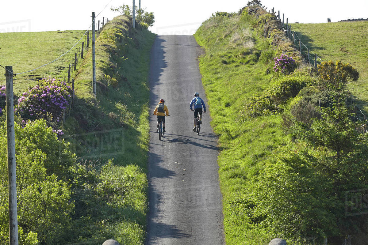 Rear view of cyclists cycling on steep rural road - Stock Photo - Dissolve