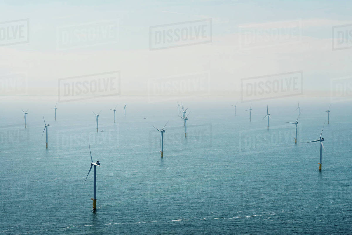 Aerial shot of an offshore wind farm off the Dutch coast, IJmuiden ...