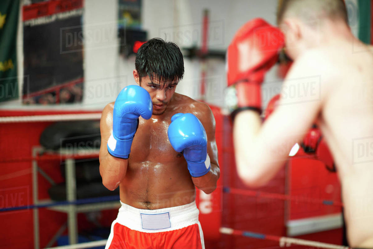 Two boxers sparring in boxing ring - Stock Photo - Dissolve
