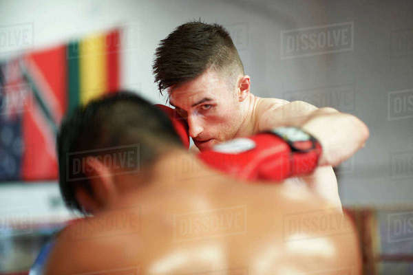 Two boxers sparring in boxing ring - Stock Photo - Dissolve