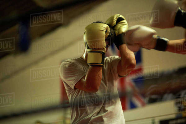 Two boxers sparring in boxing ring - Stock Photo - Dissolve