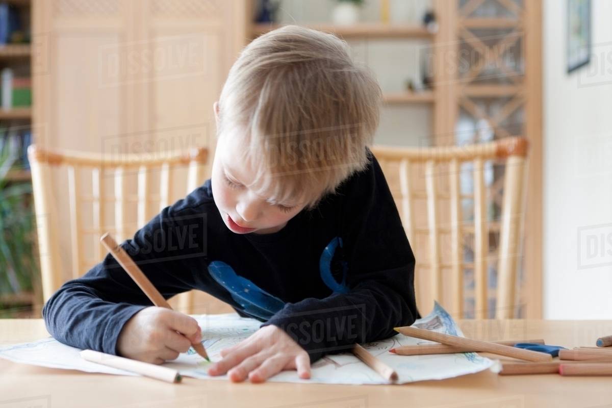 Boy drawing with colored pencils - Stock Photo - Dissolve