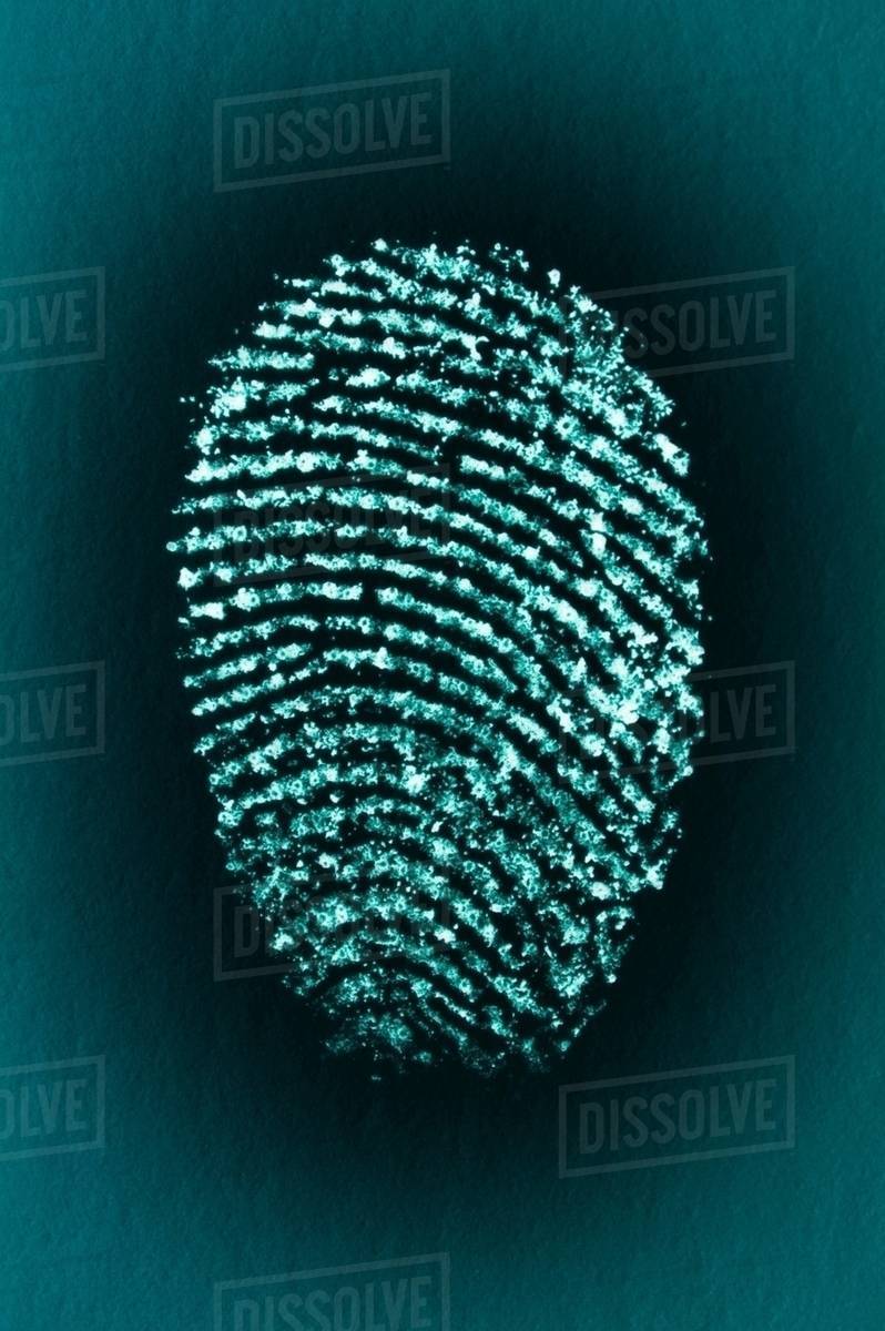 Fingerprint of a male's index finger - Royalty-free Stock Photo | Dissolve