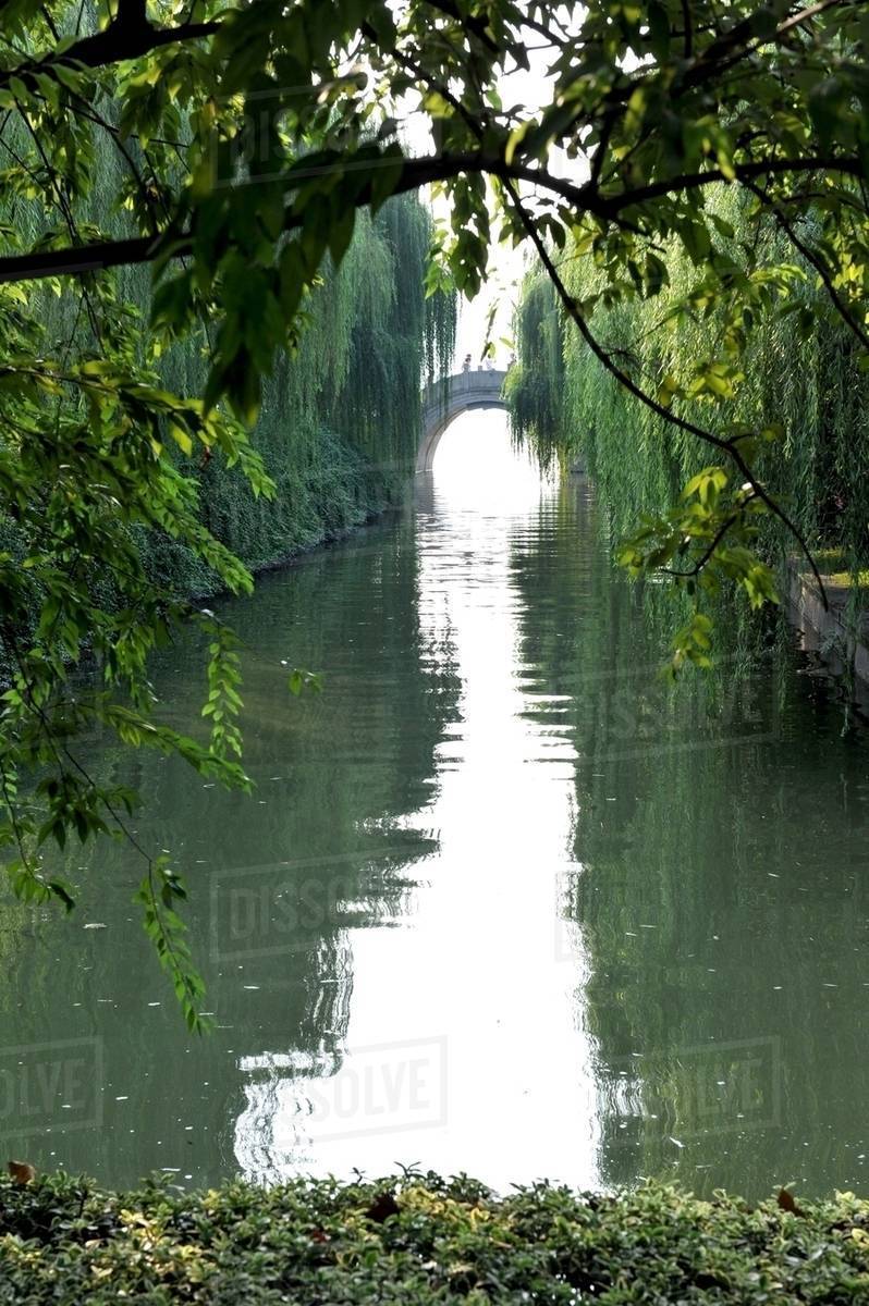 Chinese style stone bridge on river, covered by green trees, Hangzhou ...