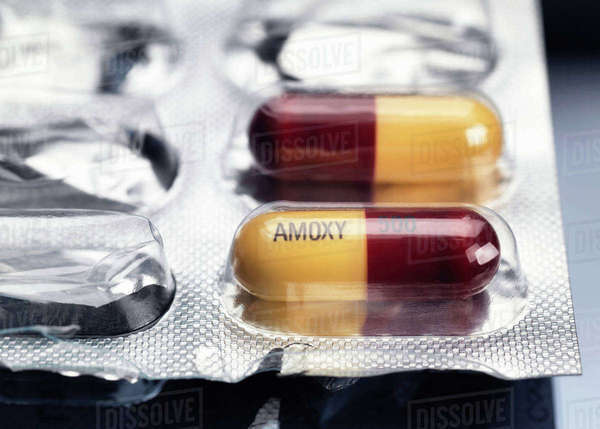 Amoxicillin capsules in blister pack - Stock Photo - Dissolve