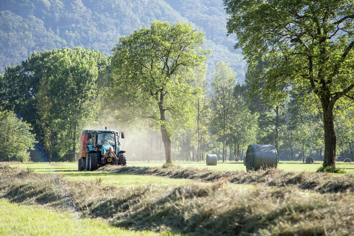 Tractor harvesting in field - Royalty-free Stock Photo | Dissolve