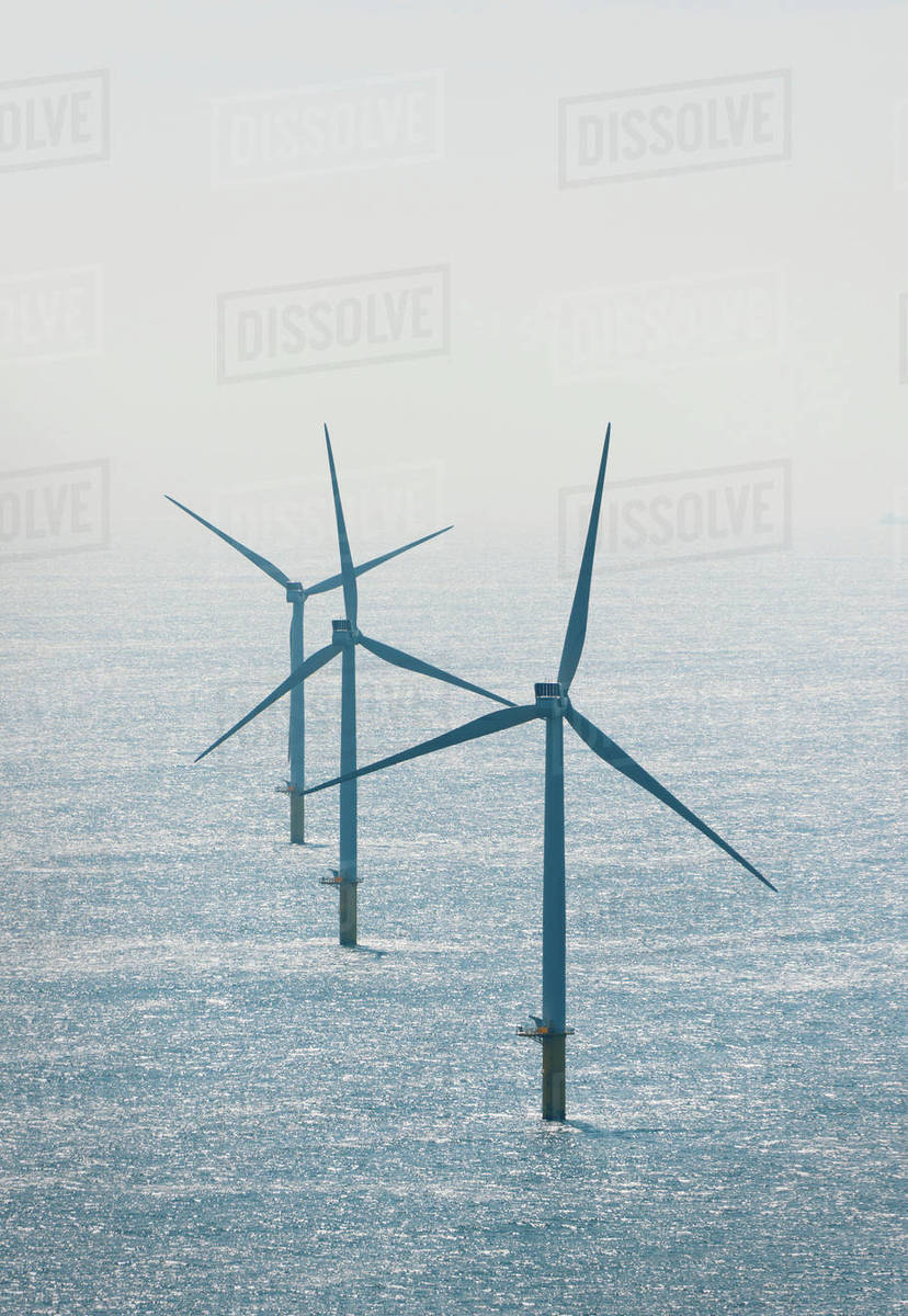 Wind turbines at Dutch offshore wind farm, IJmuiden, Netherlands ...