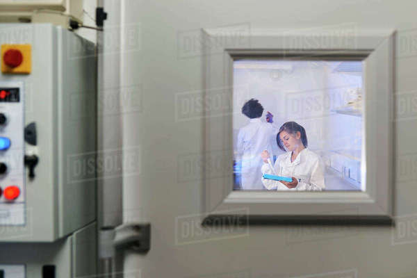 View through window of scientists in laboratory - Royalty-free Stock ...