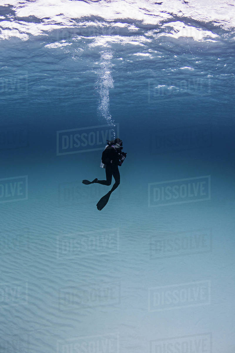 Portrait of diver, underwater view - Stock Photo - Dissolve
