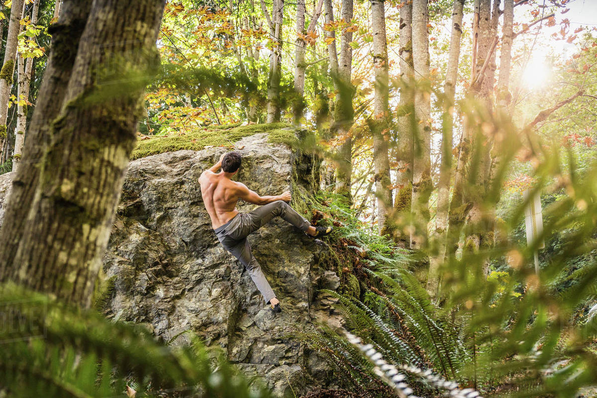 Male boulderer moving up forest boulder, Horne Lake Caves Provincial ...