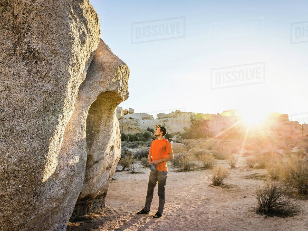 Male boulderer looking up at boulder in Joshua Tree National Park at ...