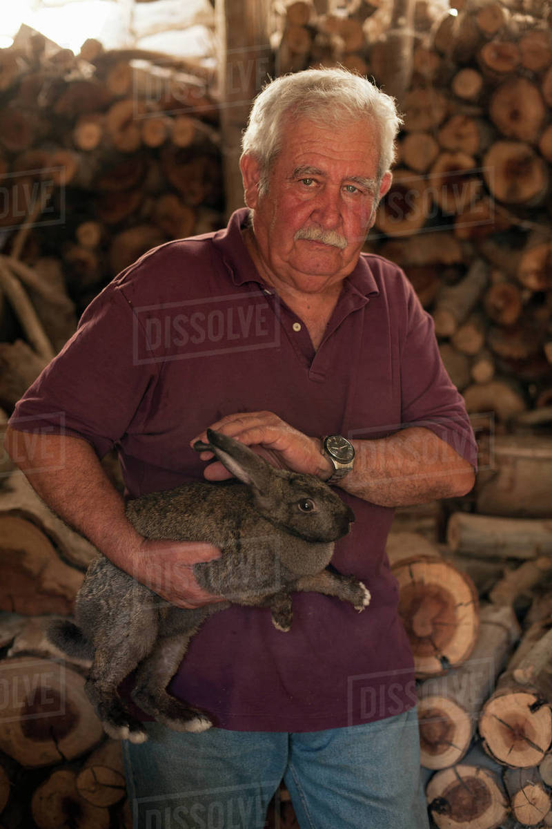 Older man petting rabbit in shed - Royalty-free Stock Photo | Dissolve