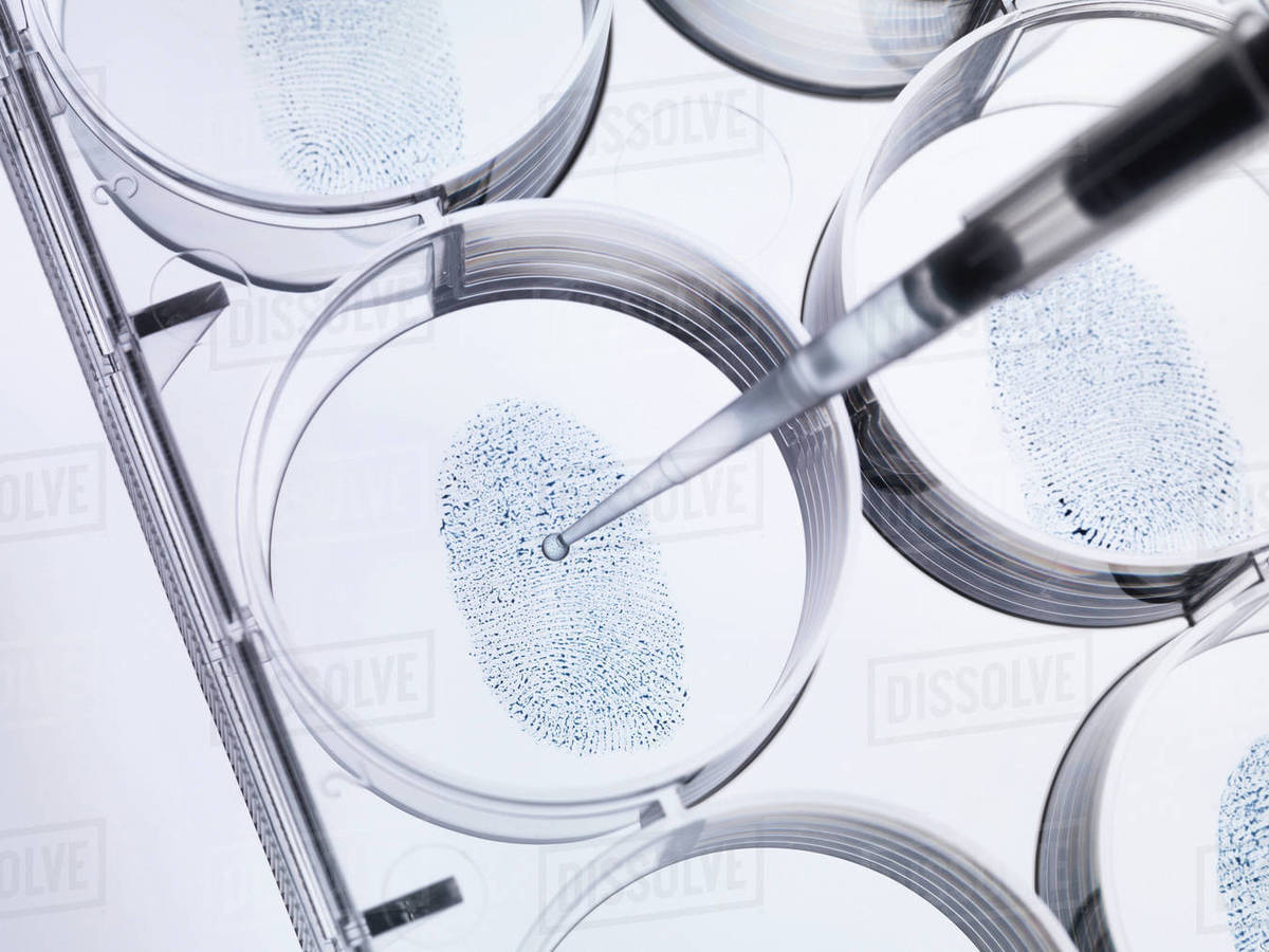 Pipette sampling finger print in lab - Stock Photo - Dissolve