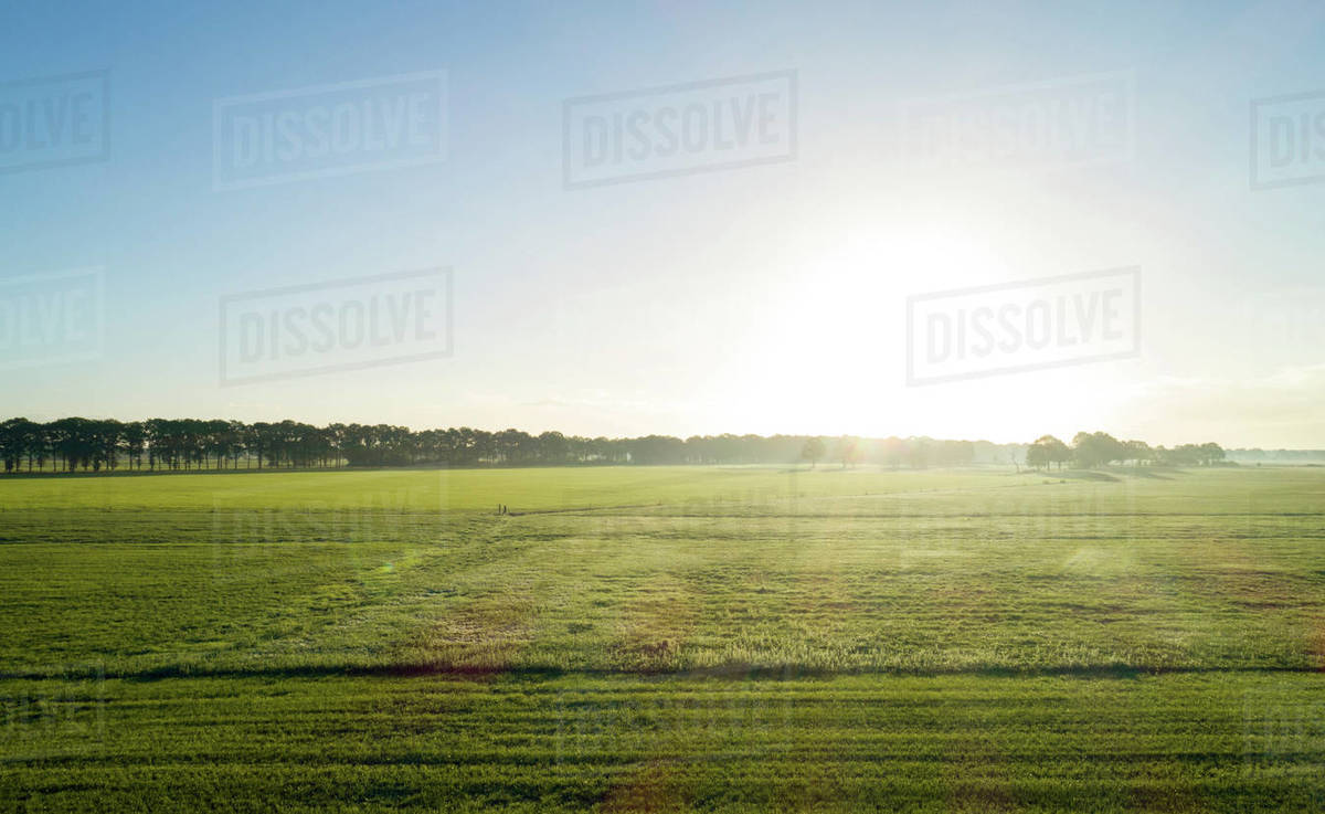 Field landscape at sunrise, elevated view - Stock Photo - Dissolve