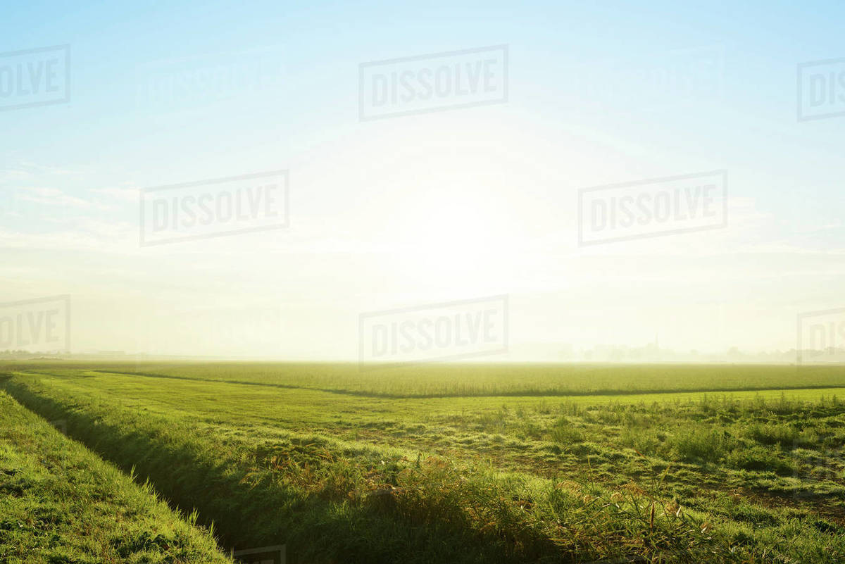 Flat green field landscape with ditch at sunrise, Netherlands - Stock ...
