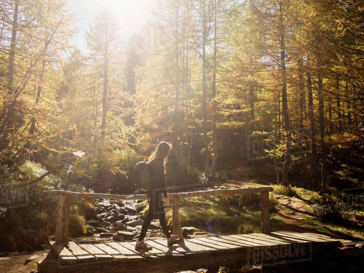 Woman exploring forest, Antronapiana, Piemonte, Italy - Stock Photo ...