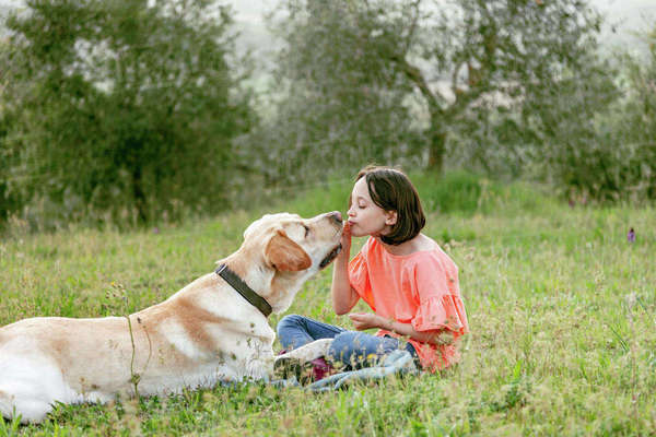 Girl sitting face to face with labrador dog in field landscape, Citta ...