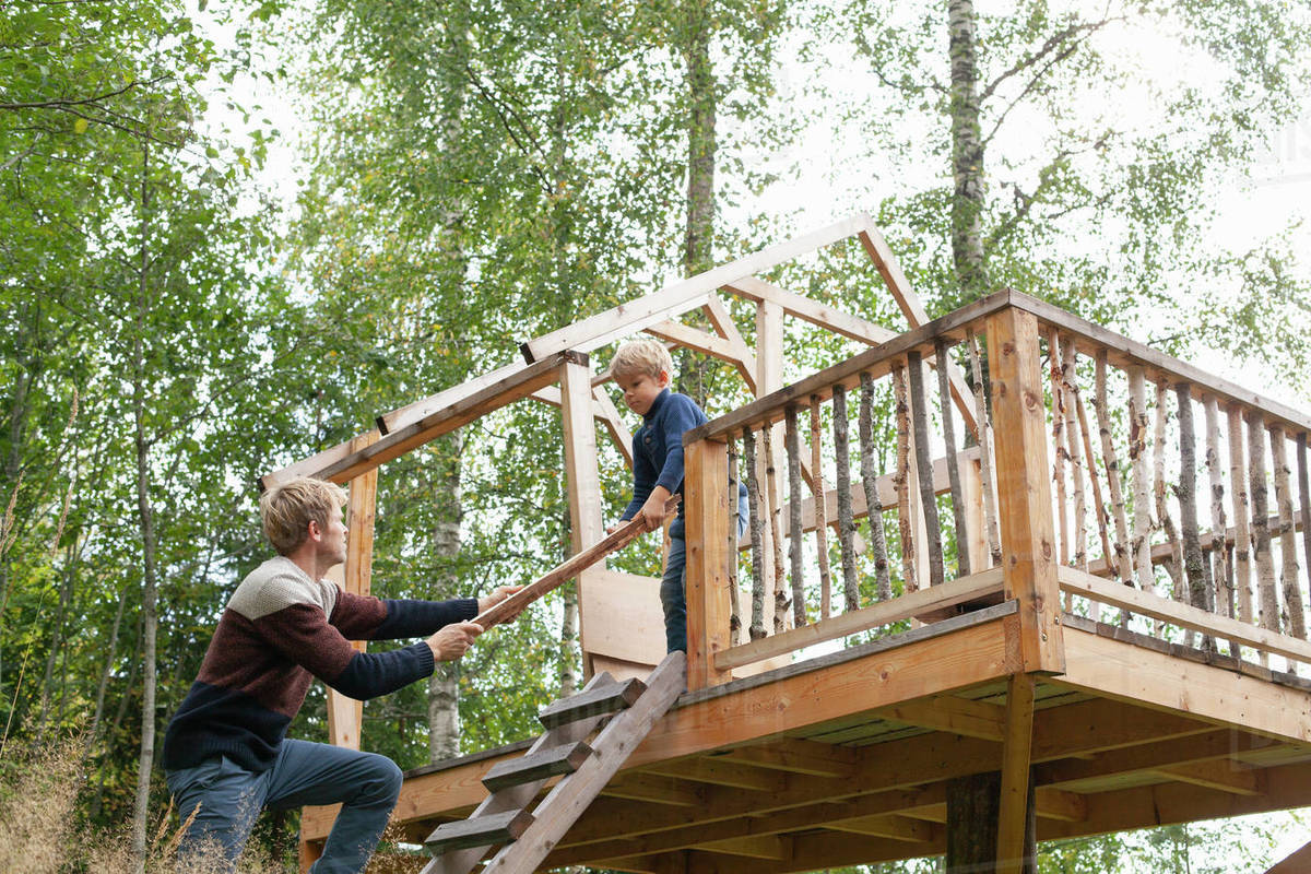 Father and son building treehouse together in garden - Stock Photo ...