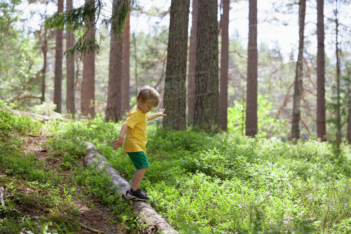 Boy exploring forest, Finland - Stock Photo - Dissolve
