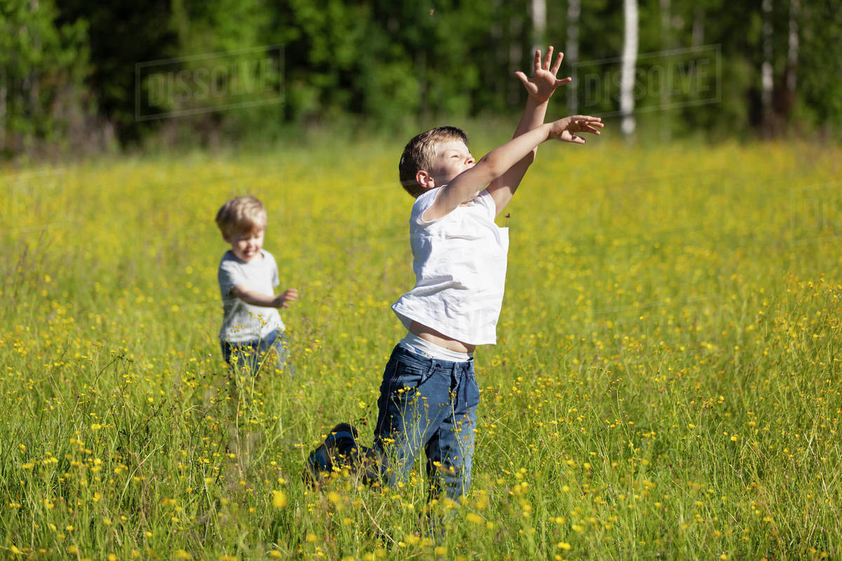 Brothers exploring and playing in meadows - Royalty-free Stock Photo ...