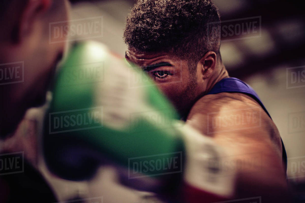 Close up of male boxer wearing green boxing gloves in boxing ring ...