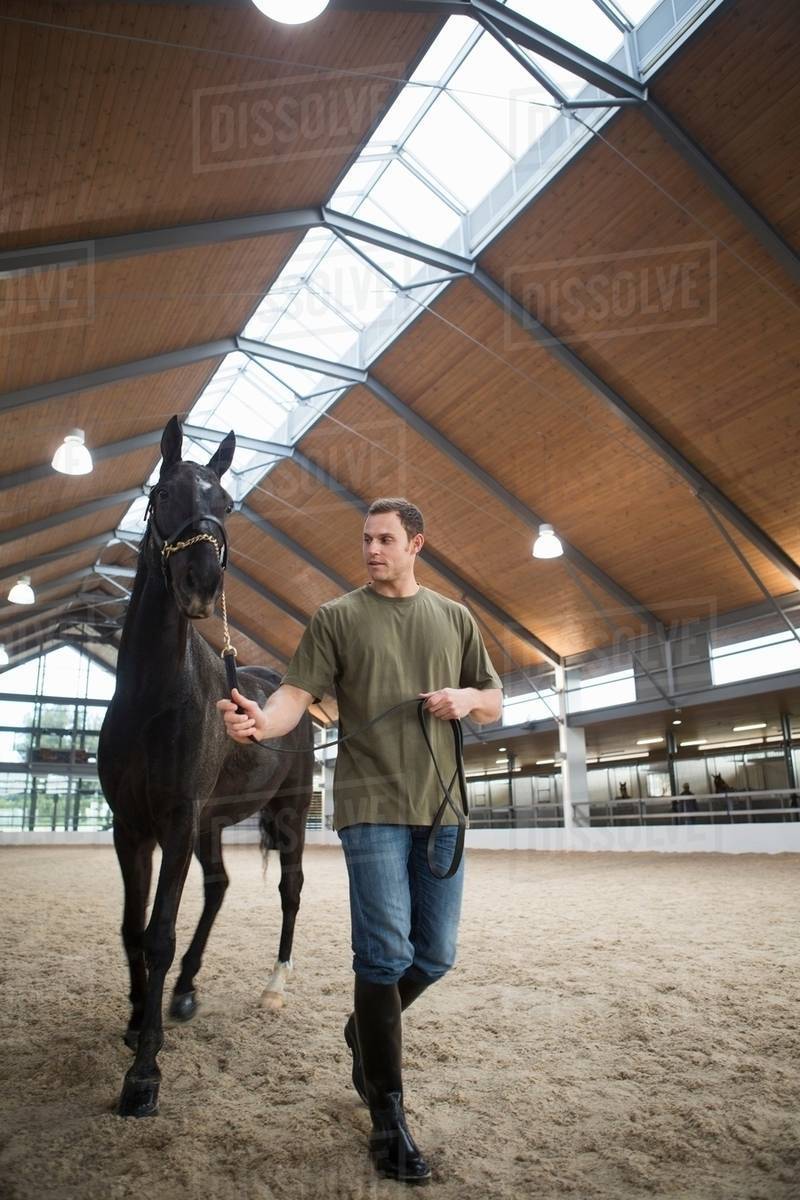 Male stablehand leading horse in indoor paddock - Royalty-free Stock ...