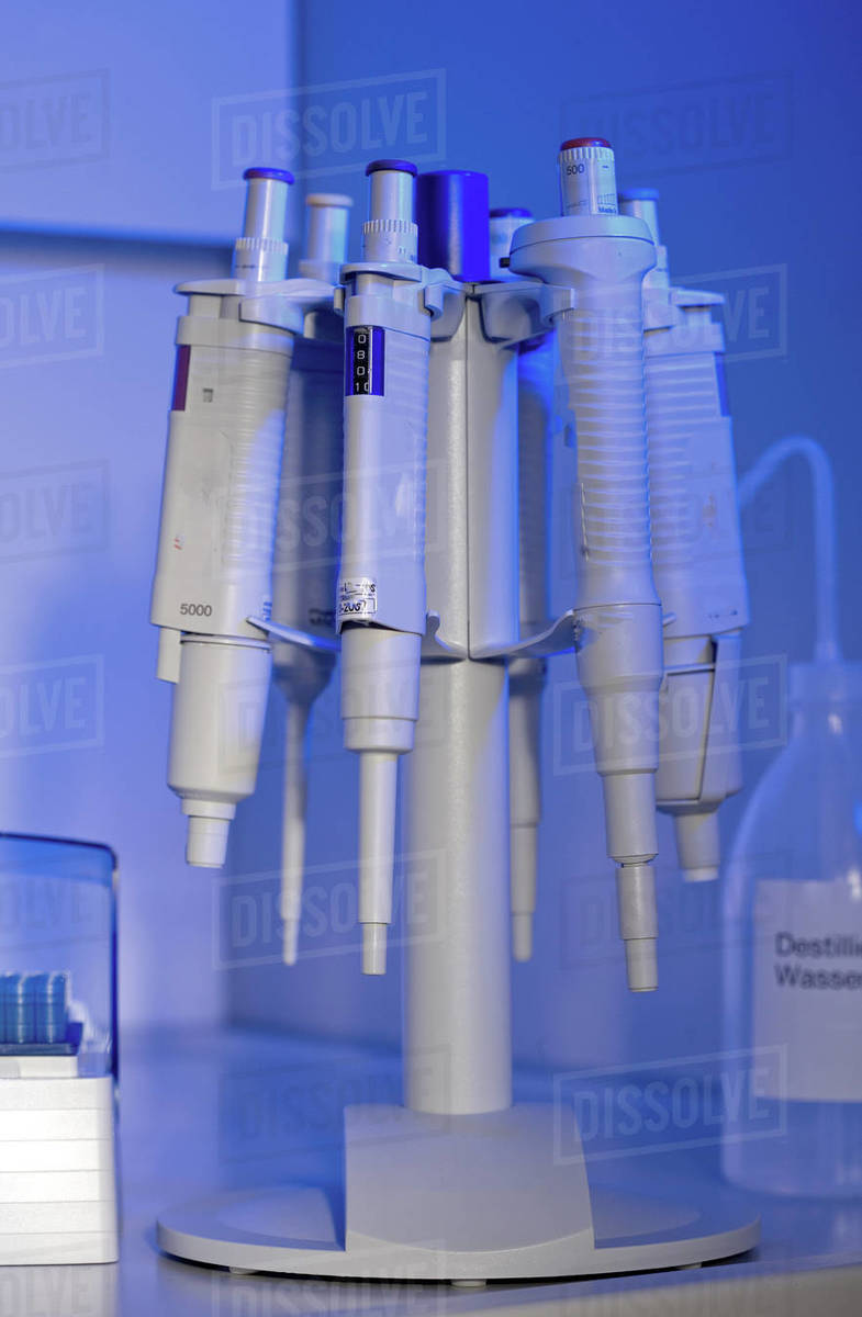 A lineup of precision pipettes in a laboratory setting - Royalty-free ...