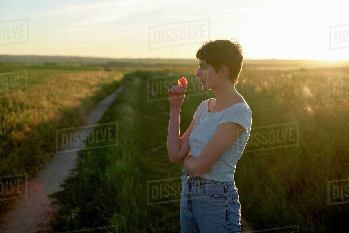 A majestic snow-capped mountain peak emerges above a blanket of clouds under a clear blue sky ...