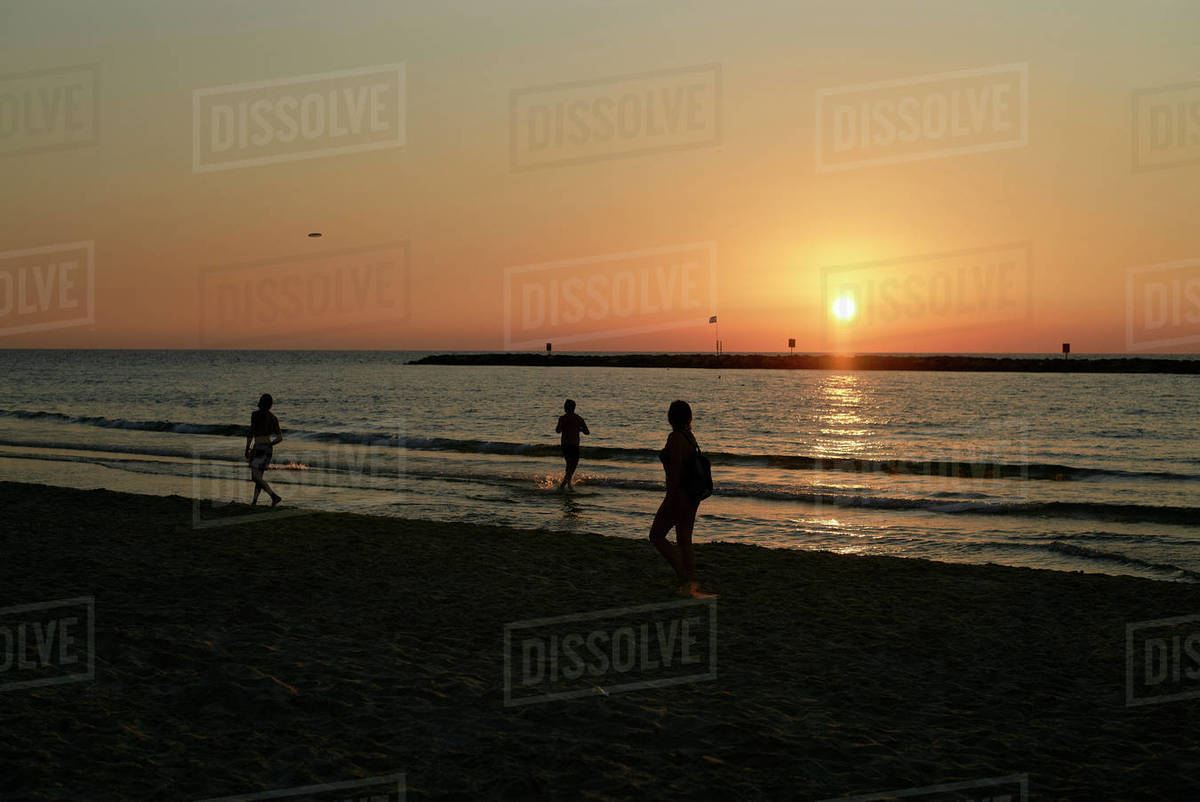 A monorail train emerging from lush greenery on an elevated track ...