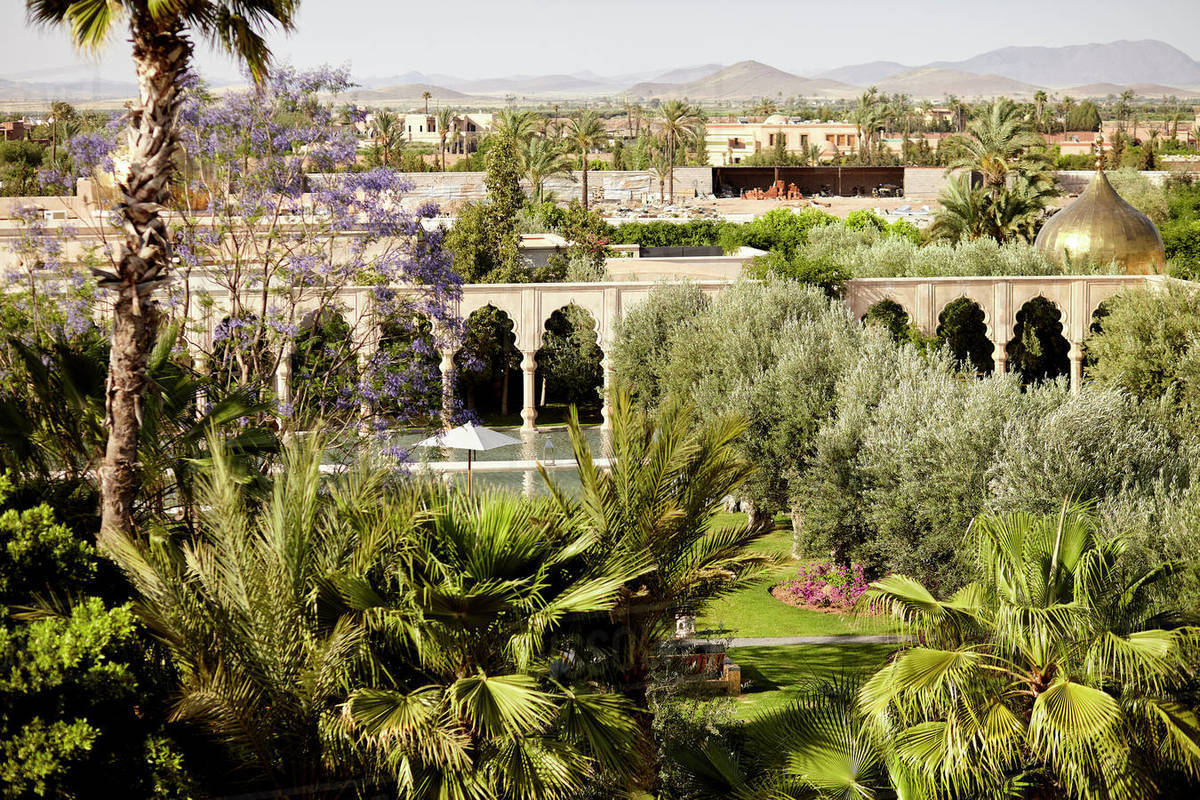 A lush green oasis with various trees and plants, with buildings in the ...