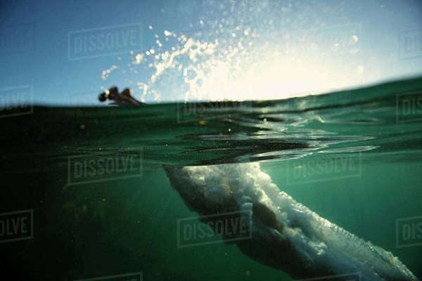 Underwater view of a swimmer in goggles and a swim cap powering through ...
