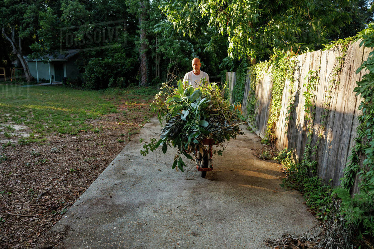 A person walking on a concrete path while pushing a wheelbarrow filled ...
