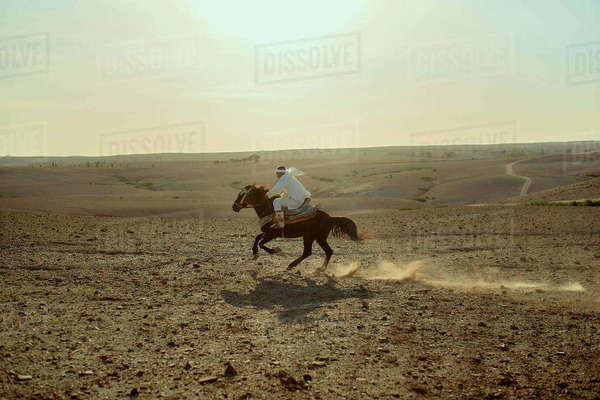 A person riding a horse at full gallop through a vast desert landscape ...