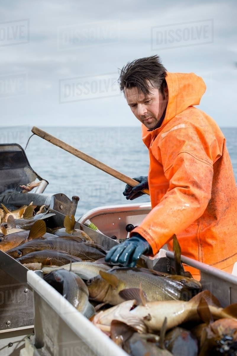 Fisherman on boat with fish - Royalty-free Stock Photo | Dissolve