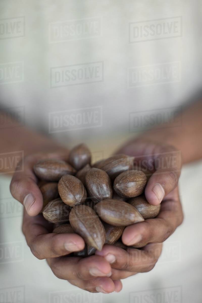 Close up of hands holding nuts - Royalty-free Stock Photo | Dissolve
