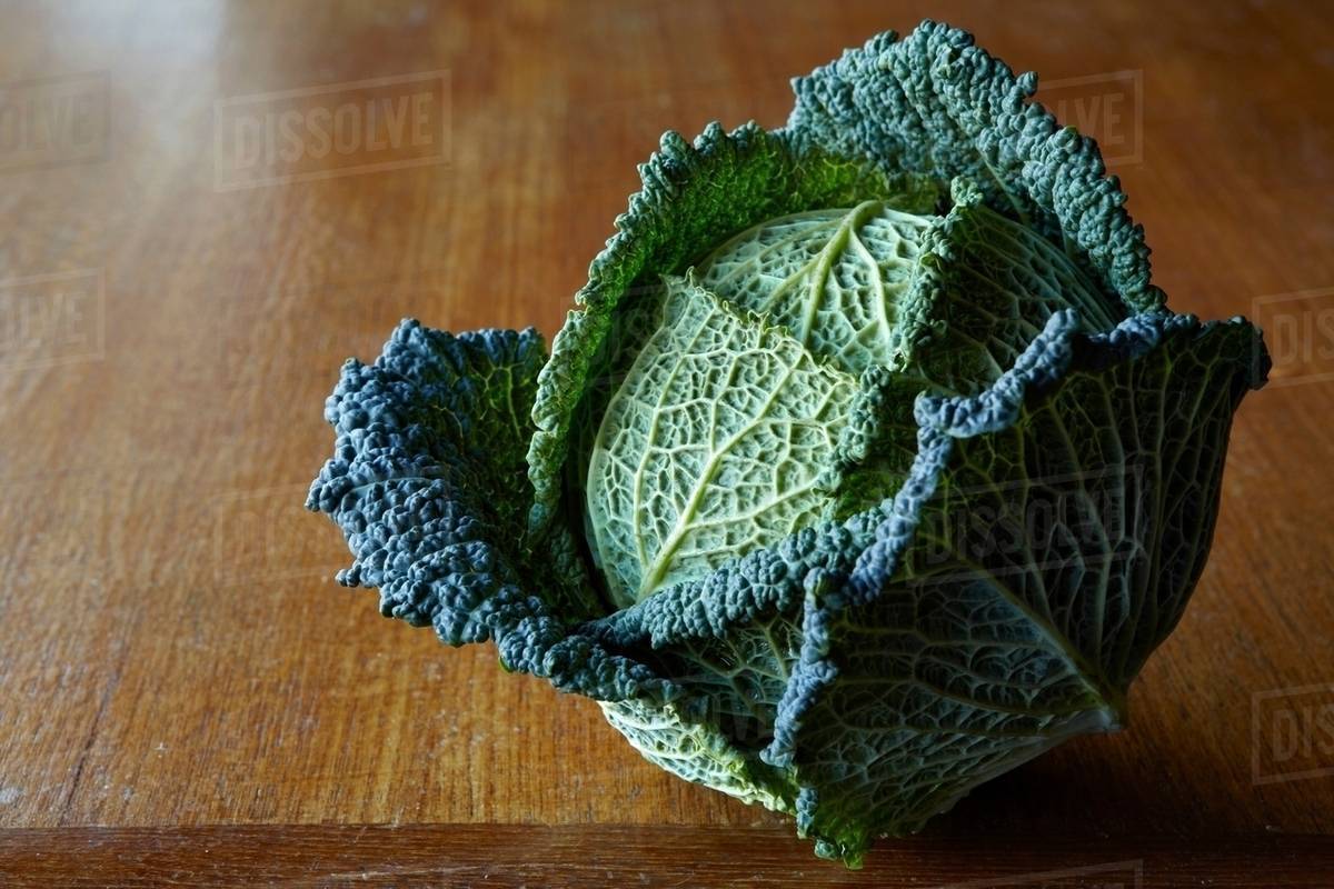 Close up of head of cabbage - Stock Photo - Dissolve