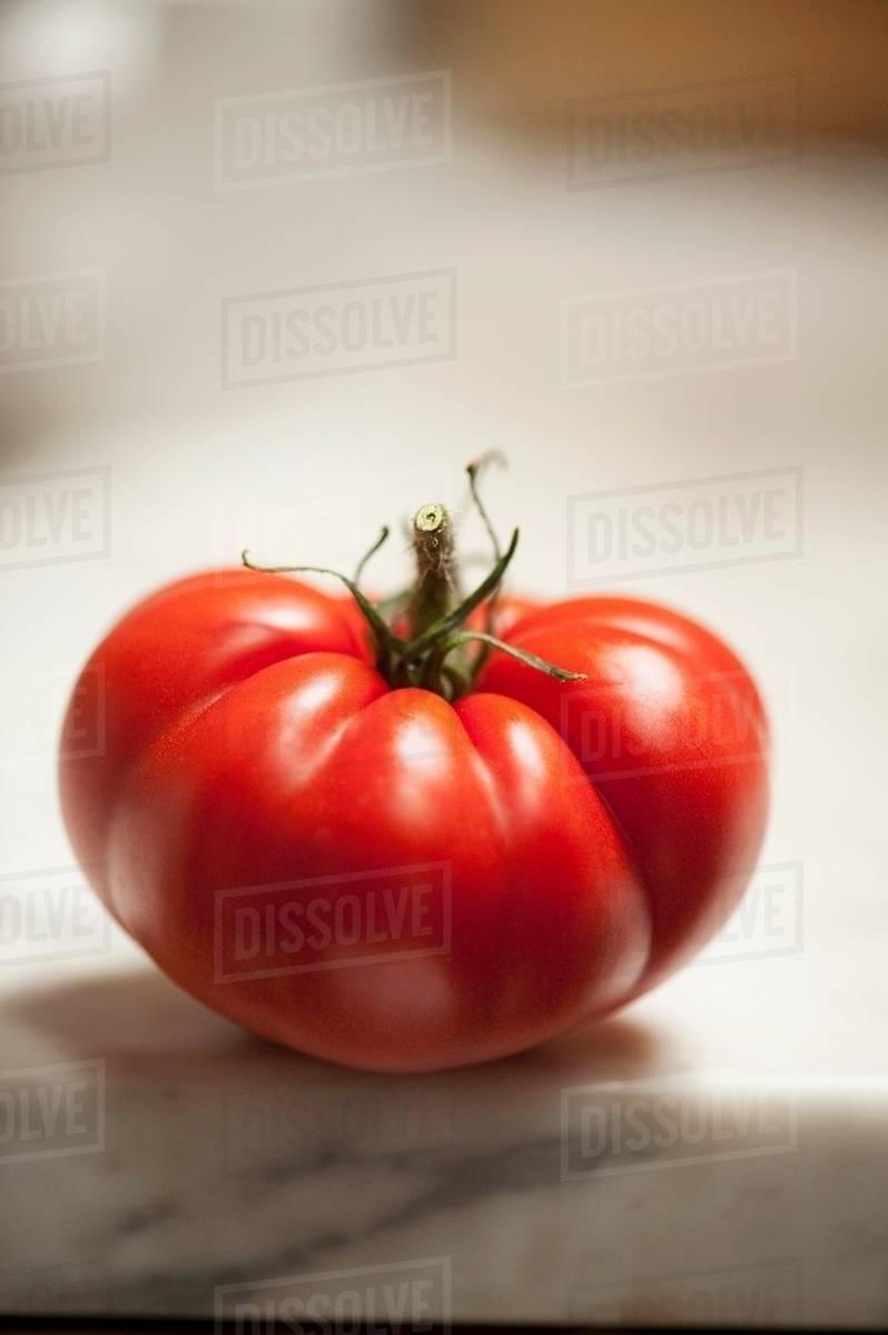 Close up of tomato - Stock Photo - Dissolve